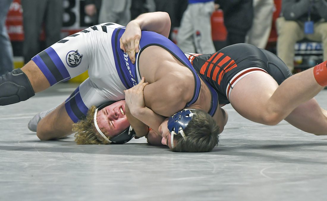 Shoemaker takes seventh in state | News, Sports, Jobs - The Sentinel